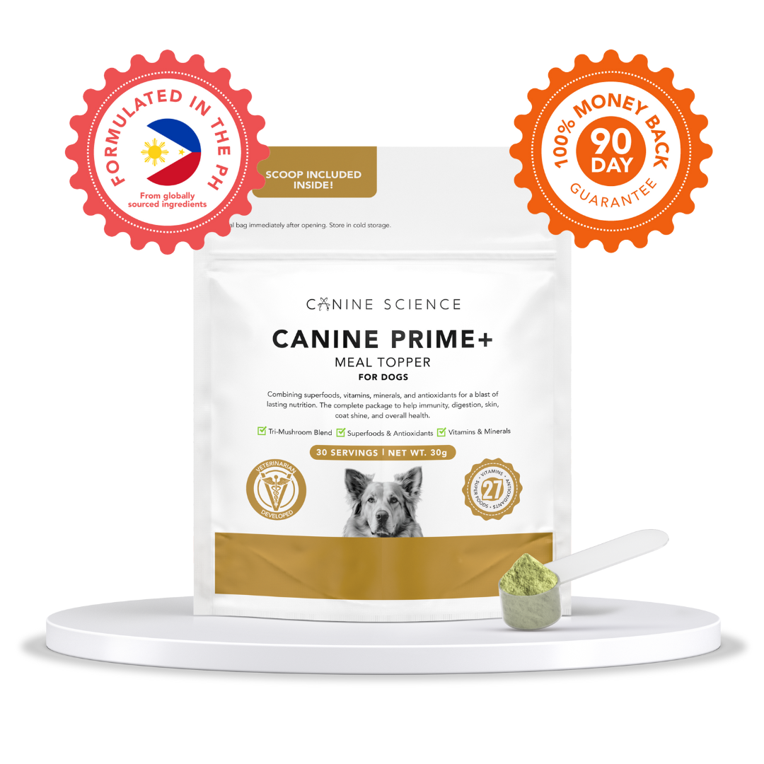 Canine Prime+ – Canine Science